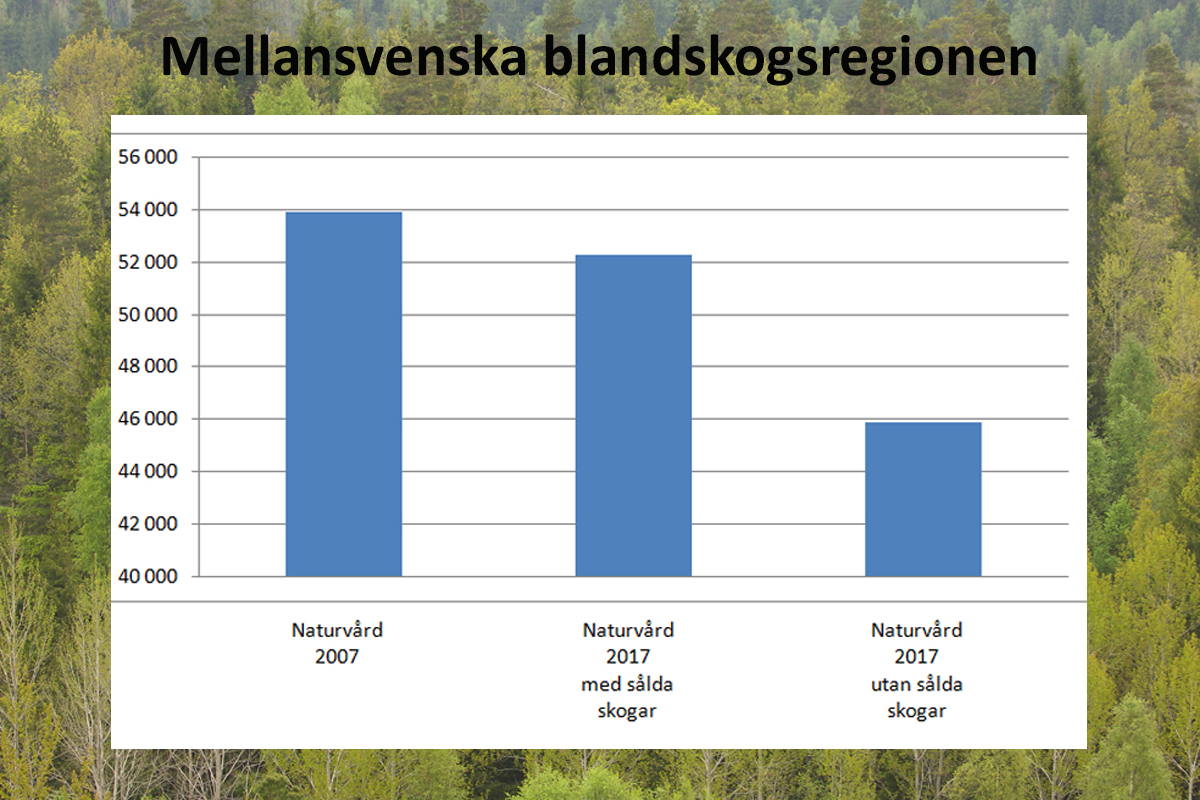 Sveaskog sviker löften i söder – Ekoturism – naturlig reslust som gör ...