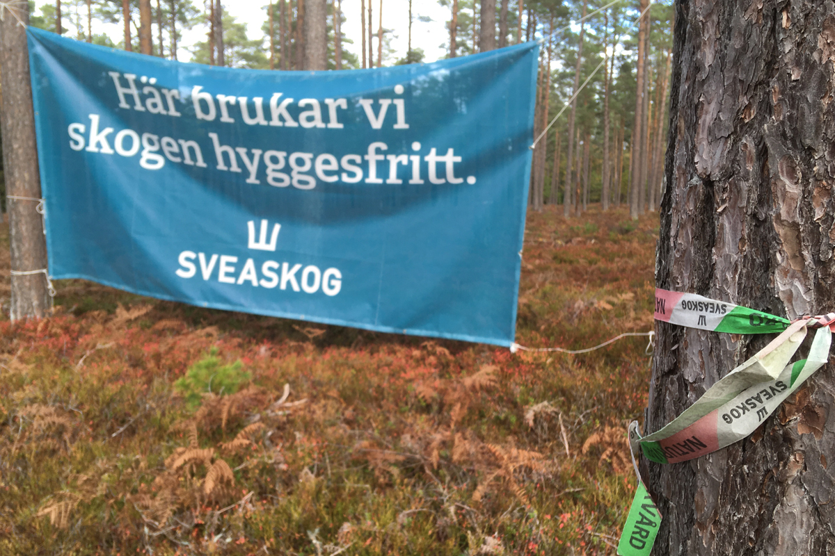 Skriver Sveaskog om historien i Böda? – Ekoturism – naturlig reslust ...